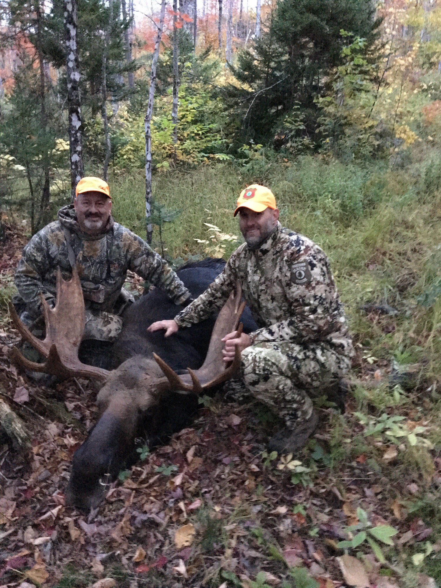 N.h. Moose Hunting Guides